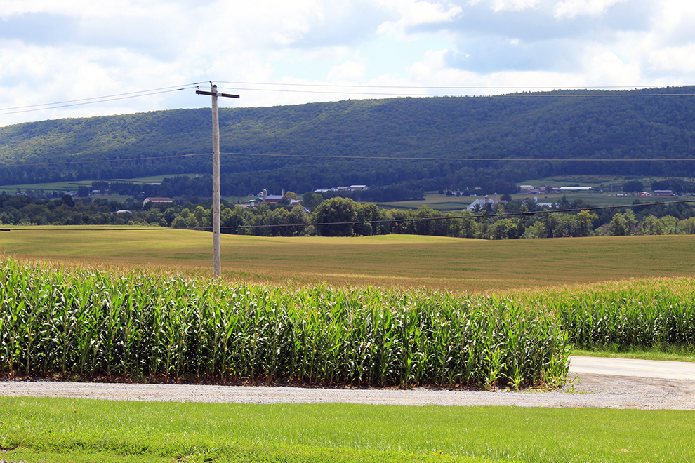 Ag innovation a driving force at Schrack Farms | News, Sports, Jobs ...